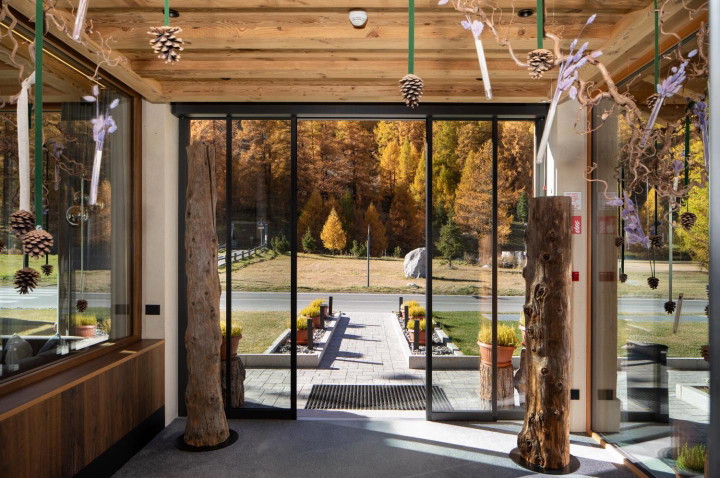 Camino Rustic Chic Hotel - Livigno