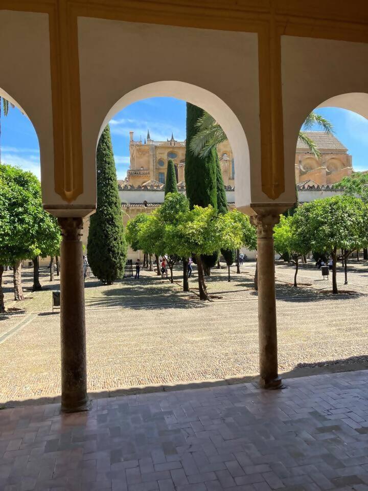 Precioso Apartamento Junto A La Mezquita. - Córdoba