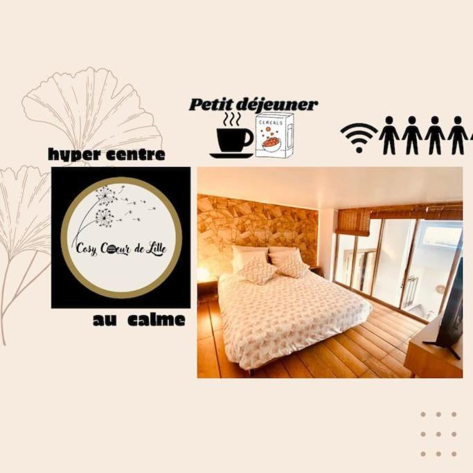 Cosy Cœur De Lille - Lille