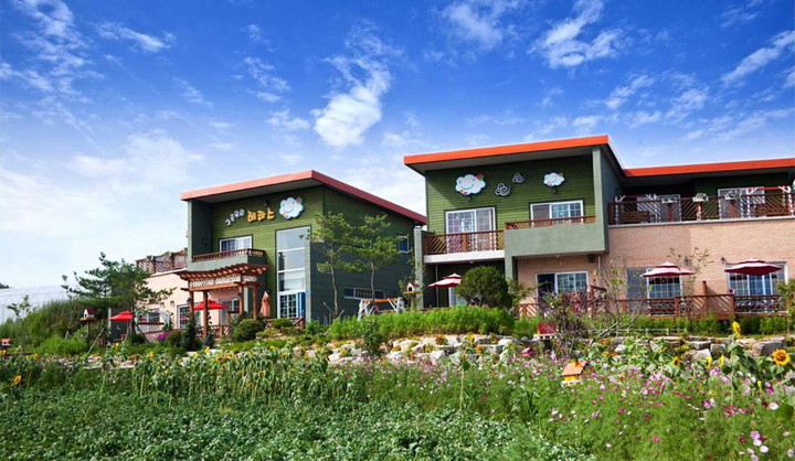 Terrace On The Cloud - Gangneung-si