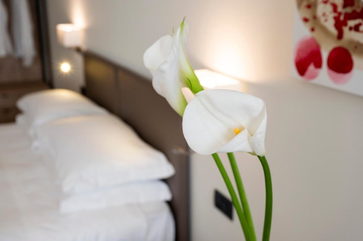 Hotel Plaza - Pavia, Italy