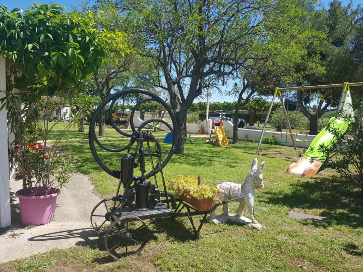 Le Mas De Mon Pere - Camargue