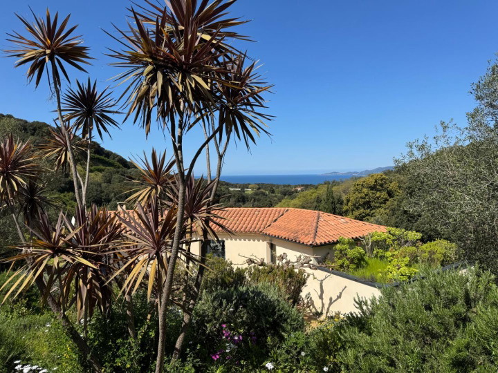 Le Ruone - Corse-du-Sud