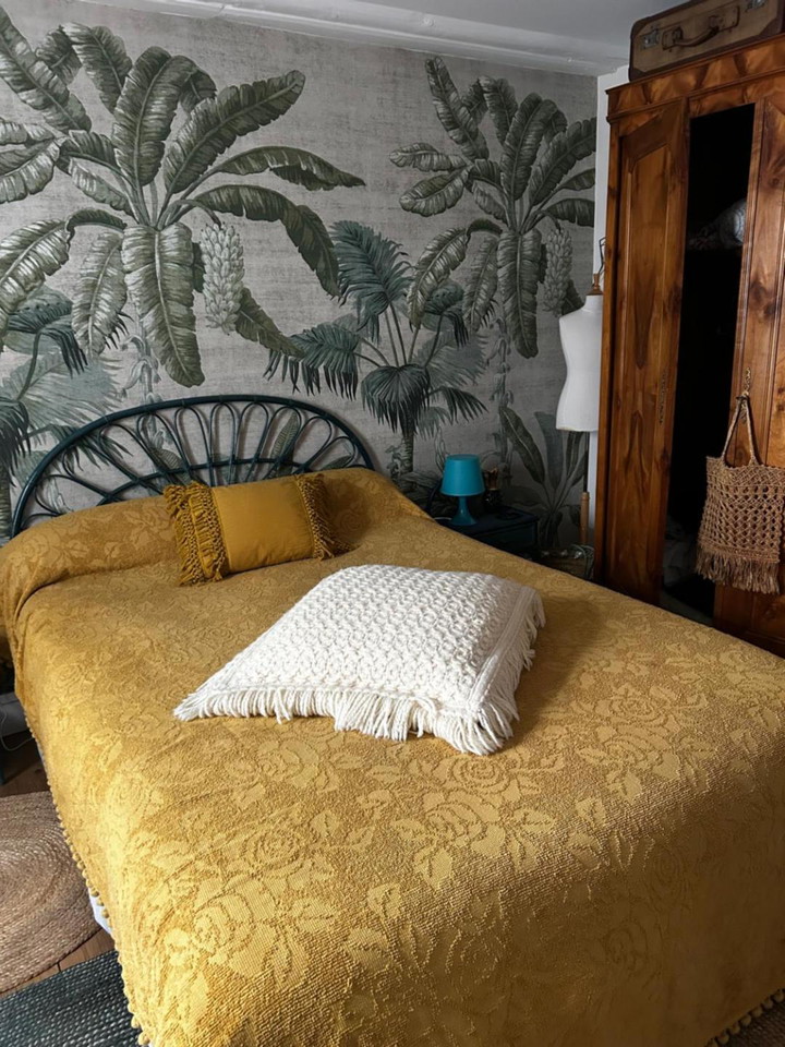 Chambre Tropicale - Puy-de-Dôme