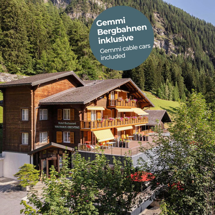 Hotel Restaurant Waldhaus - Adelboden