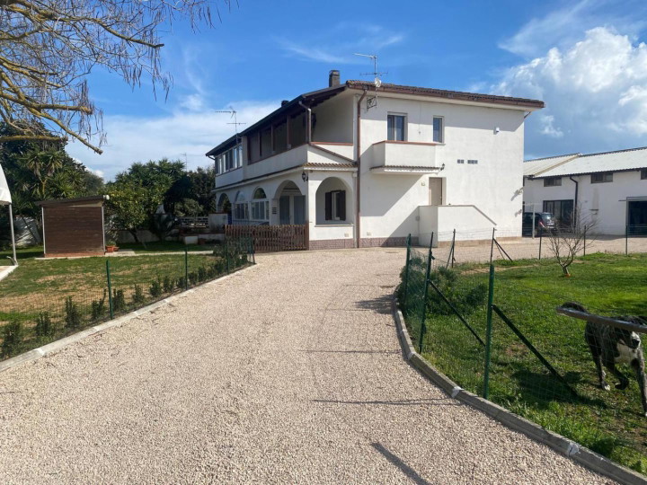 Il Tiglio B&b - San Felice Circeo