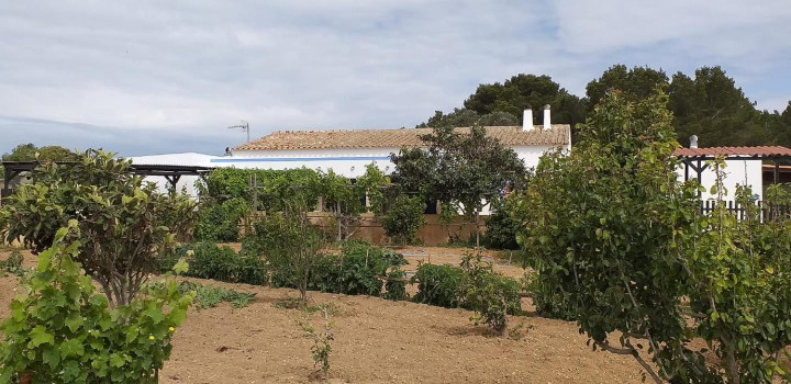 Can Joan Barber, 1 - Formentera