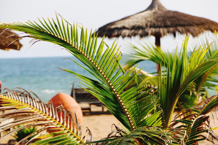Pure Plage - Lomé