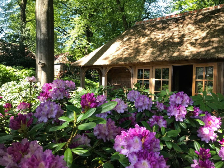B&b La 'Petite Bergerie' - Zeist