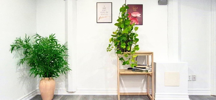Spacious Cozy Rooms With Privated Bathrooms - Toronto