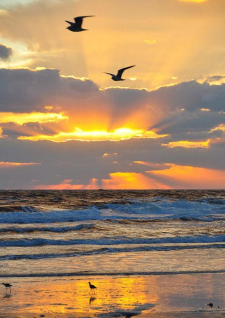 Beach Place Seconds To Beach 23 - Floride