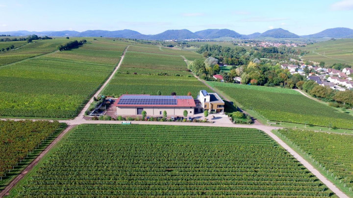 Vögelis Weinnest - Burrweiler