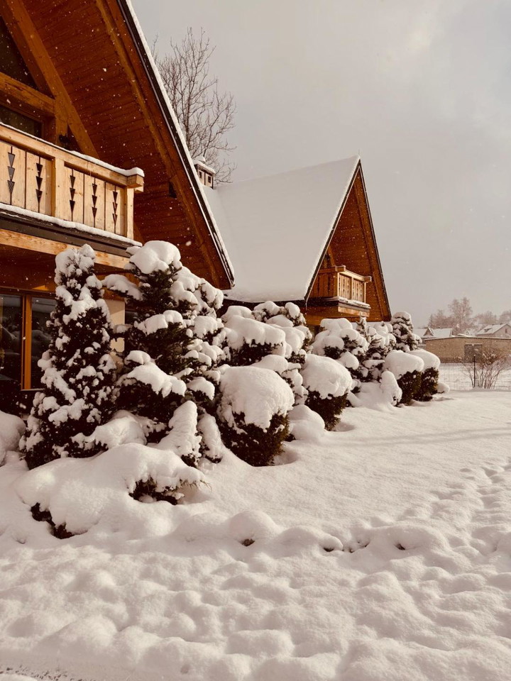 Przystanek Zakopane - Zakopane