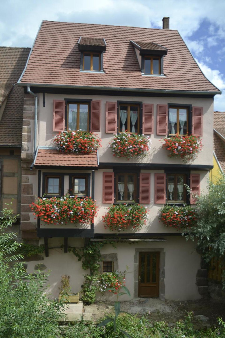 Gîtes Du Stekala - Ribeauvillé