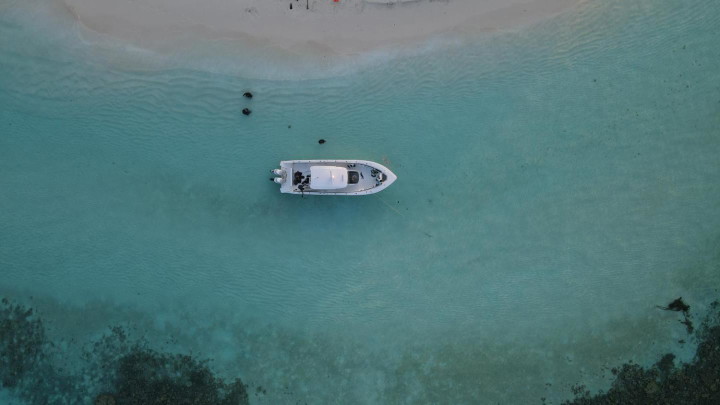 Fish On - Malé