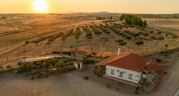 Casa De Campo Das Oliveiras - Centro Region