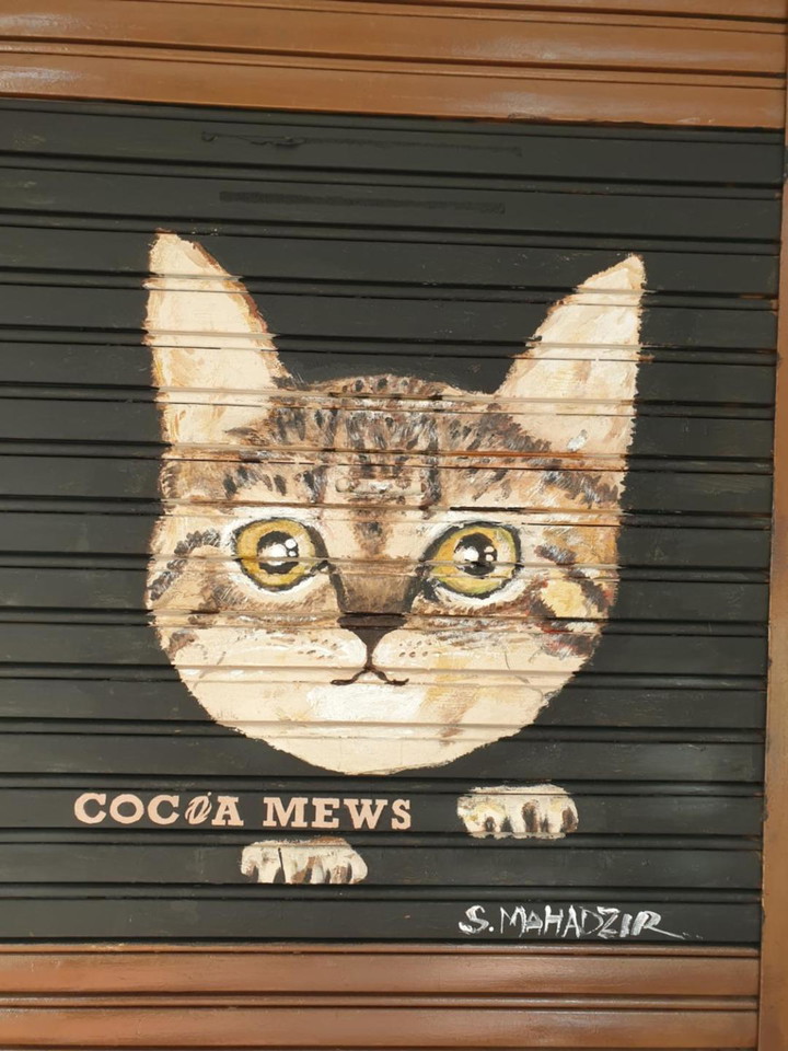 Cocoa Mews Cafe And Homestay - Penang