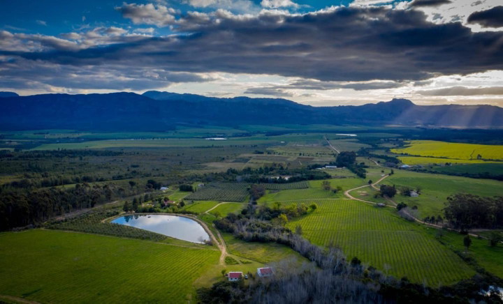 Fraaigelegen Farm - Home Of Adhara Evoo - Ceres