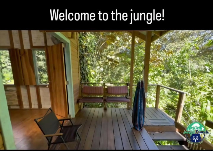 Jungle Paunch - Panama