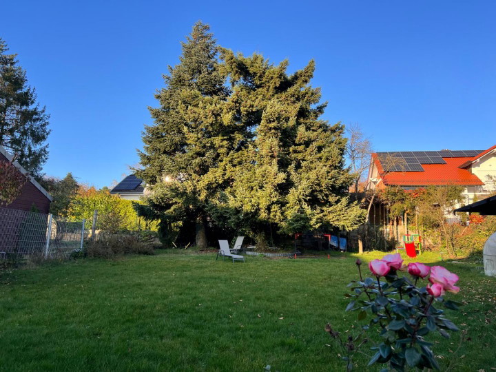 Neu! Große Ferienwohnung 3 Zimmer Mit Küche Und Bad, 90 Qm Mit Netflix Und Ps5 - Kaiserslautern