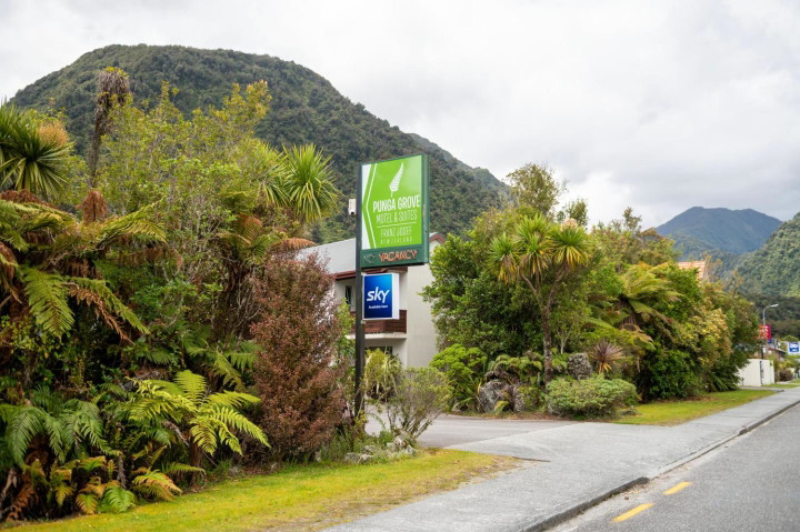 Punga Grove - Franz Josef / Waiau