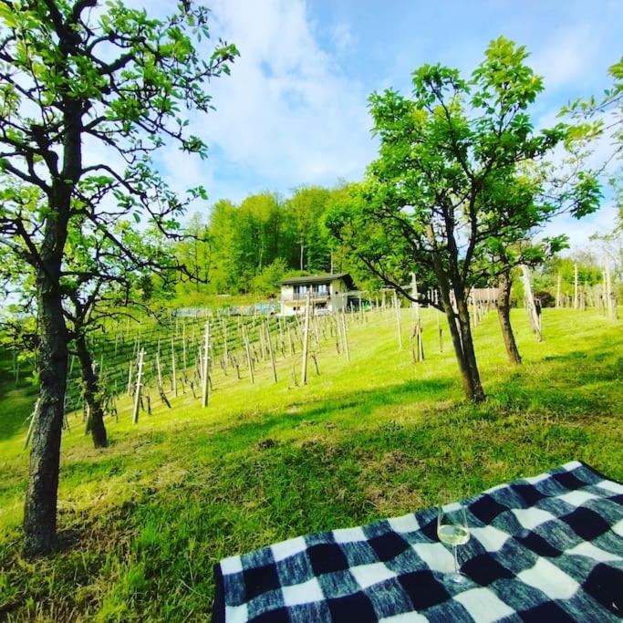 Mini Hiška V Objemu Vinograda - Blizu Podčetrtka - Slovénie