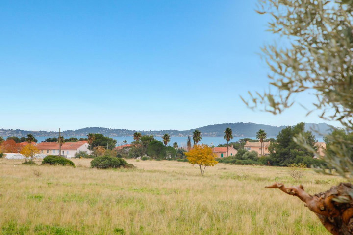 Le Petit Sud - Carqueiranne