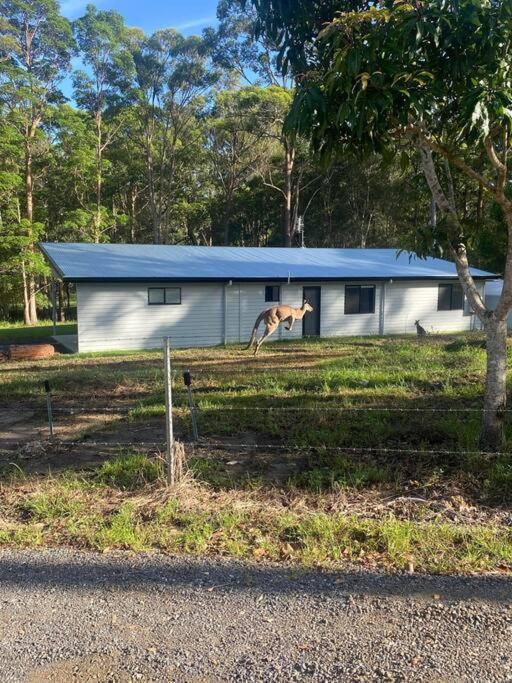 Rural Self Contained 3 Bedroom Cottage On Acreage, - Glass House Mountains