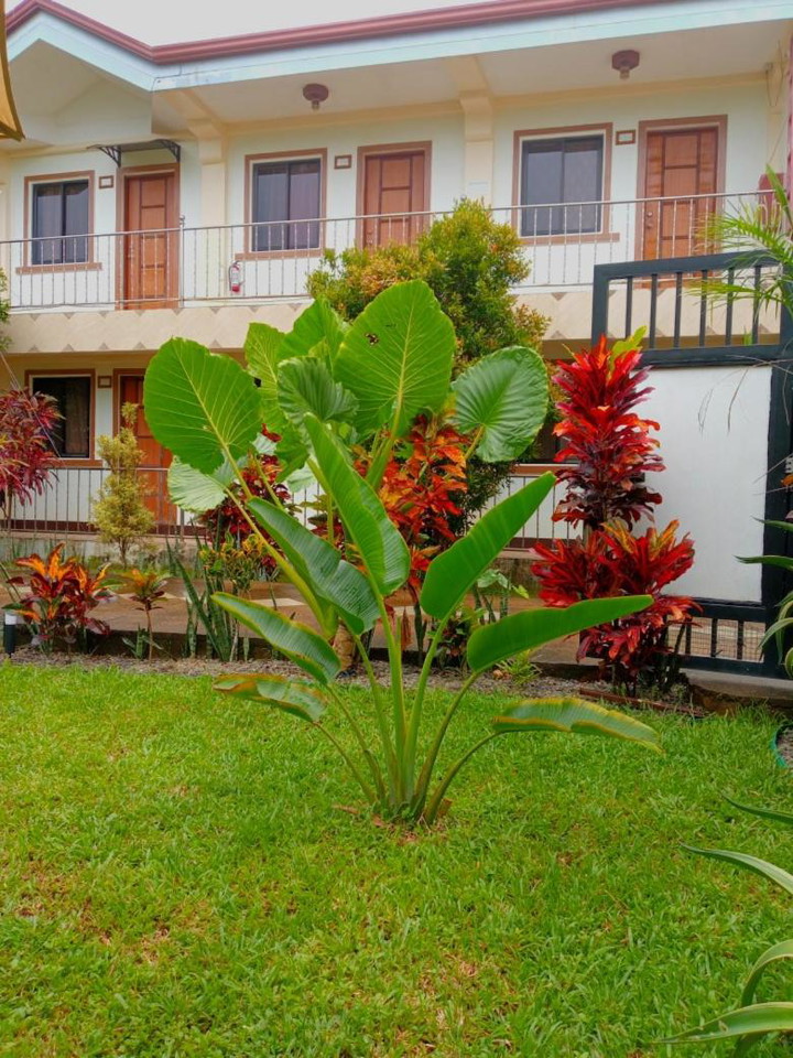 Golden Anchor Lodge - Coron