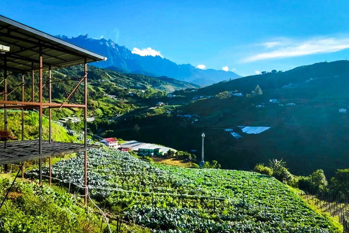 Triple A Kundasang - Ranau