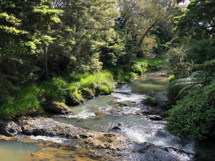 Cone Hill Farmstay - With Bush And River Walks - 80 Sqm Self Contained - Raglan