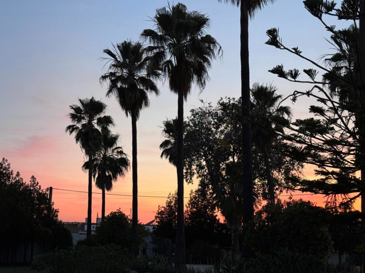 Finca Los Olivos & Spa, Animaux - Spanje