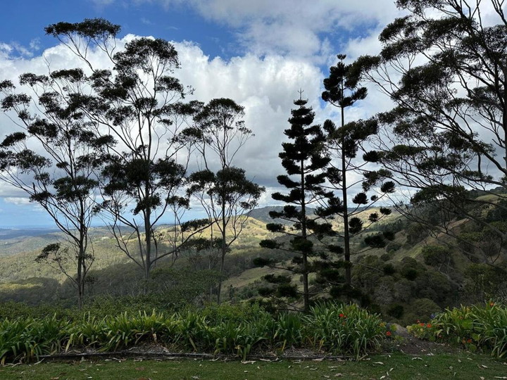 Maleny-montville Cottages #2, 2 Bed With Ocean Views - Maleny