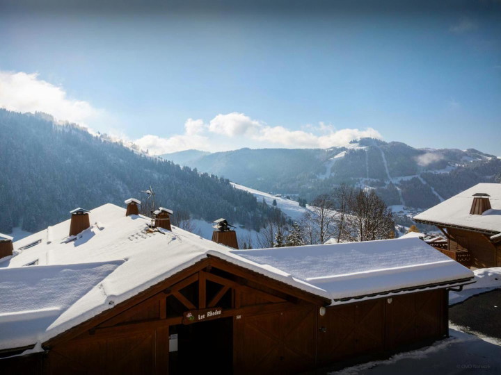Cluzel Alpine Loft - Ovo Network - La Giettaz