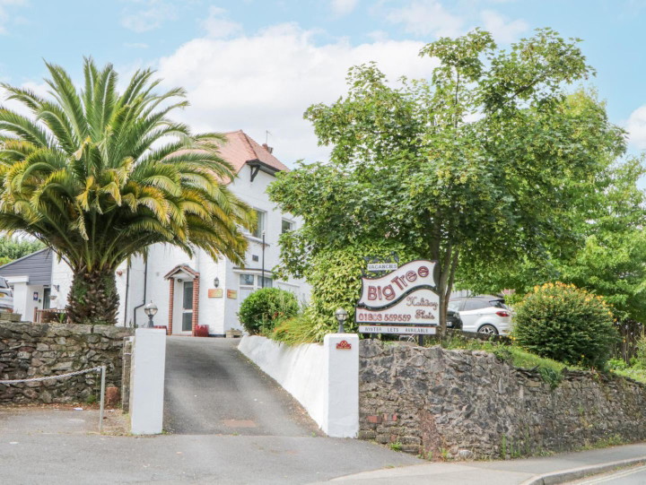 Flat 4, Big Tree Holiday Flats - Totnes