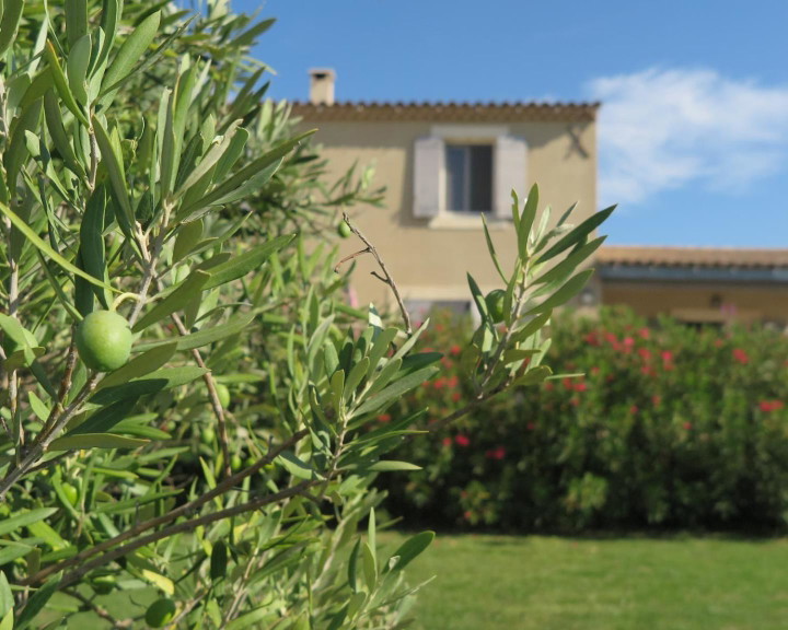 Gite Le Petit Luberon Lisianthus - Gordes