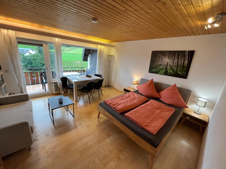 Haus Am Sonnenberg, Todtnauberg, Ferienwohnung 204, Direkt Am Skilift-skipiste, Nähe Feldberg - Black Forest