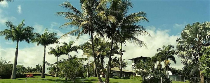 Island Goode's - Luxury Adult Only Accommodation Near Hilo - Hawaii