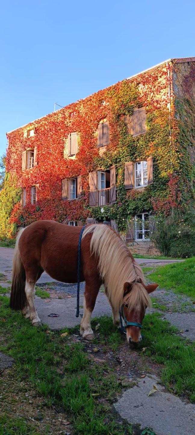 Le Moulin De Vaux - Bourgogne-Franche-Comté