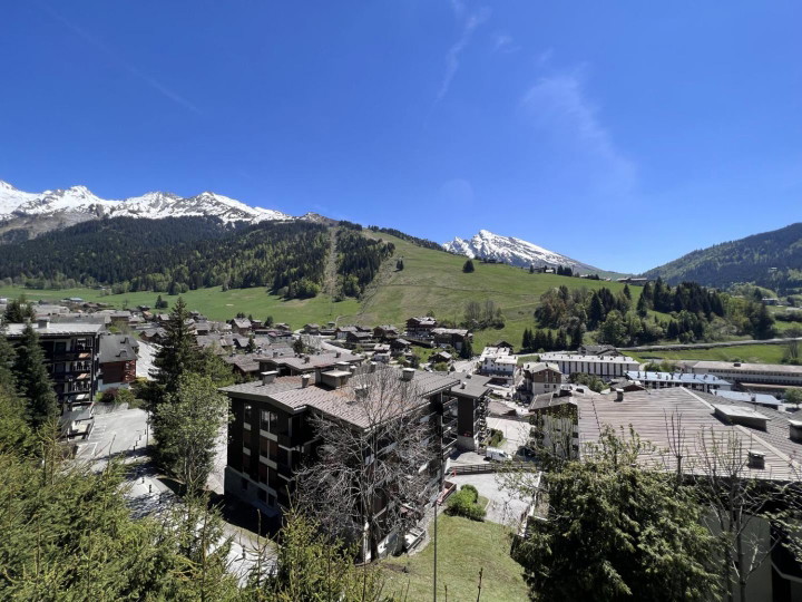 Ours Blanc 9 - Studio Belle Vue Montagnes, Proche Espace Aquatique - La Clusaz