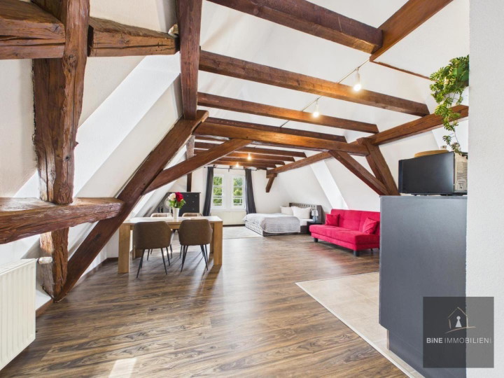 Mühlen Traum Studio 41 - Marbach am Neckar