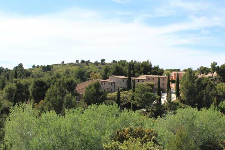 Les Garrigues De La Vallée Des Baux - Paradou