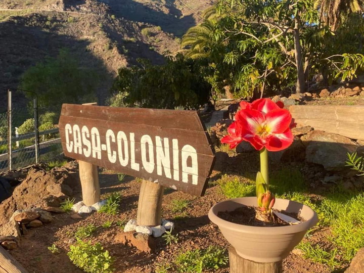 Casa Colonia - Gran Canaria