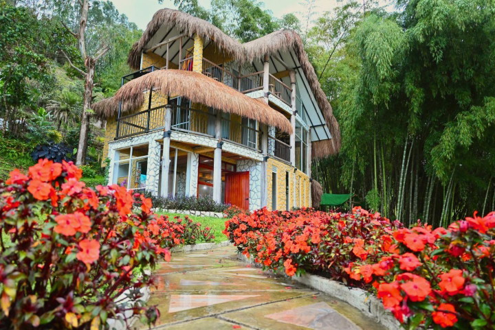 Bambu Chalet - Risaralda