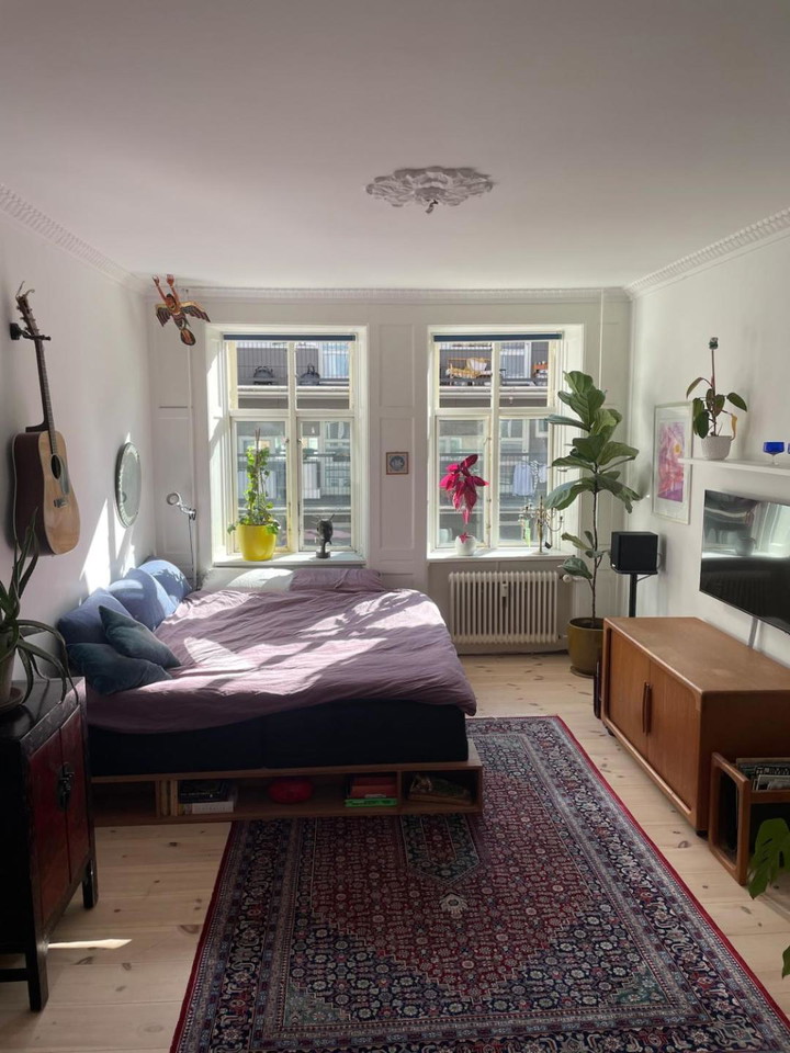Stunning Authentic Renovated Apt I Near Lakes & Metro - Copenhaguen