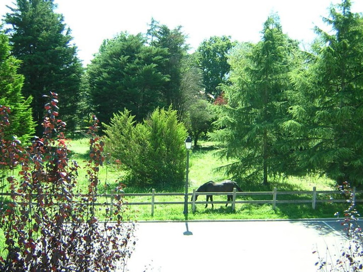 Posada Casa De Julia - Puente Viesgo