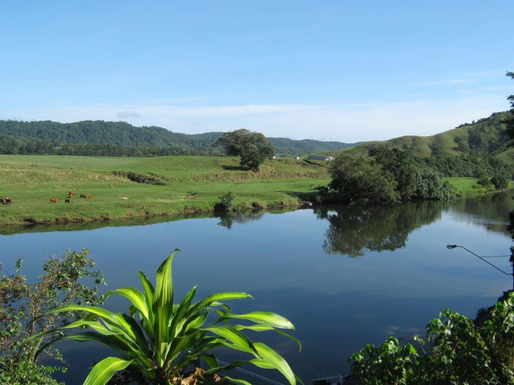 Daintree Riverview Lodges - Daintree
