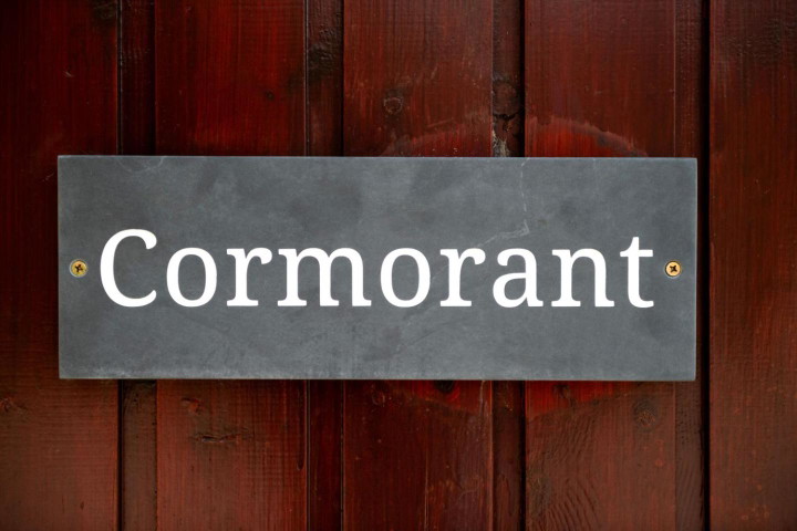 L23 Cormorant - Portscatho
