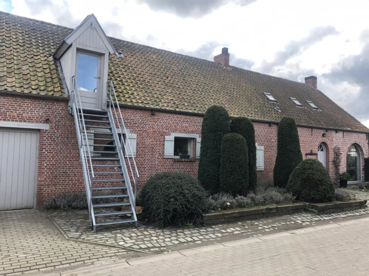 Slapen Bij Alpacas - Hoogstraten
