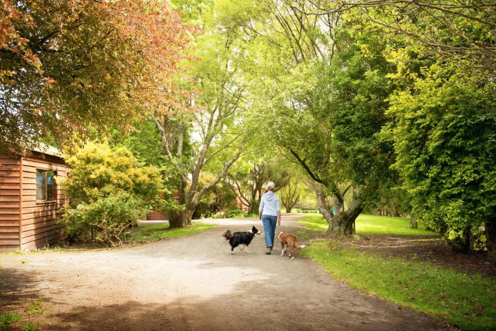 Johanna River Farm & Cottages - Great Ocean Road